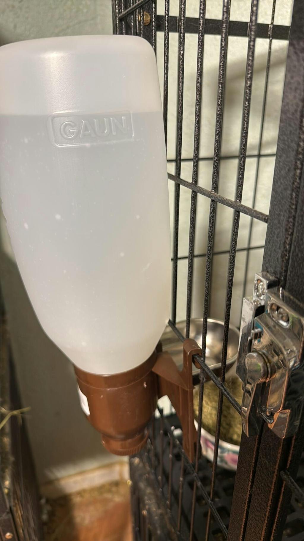 Gaun 2 Liter Rabbit Drinker with Bottle — Jeffers