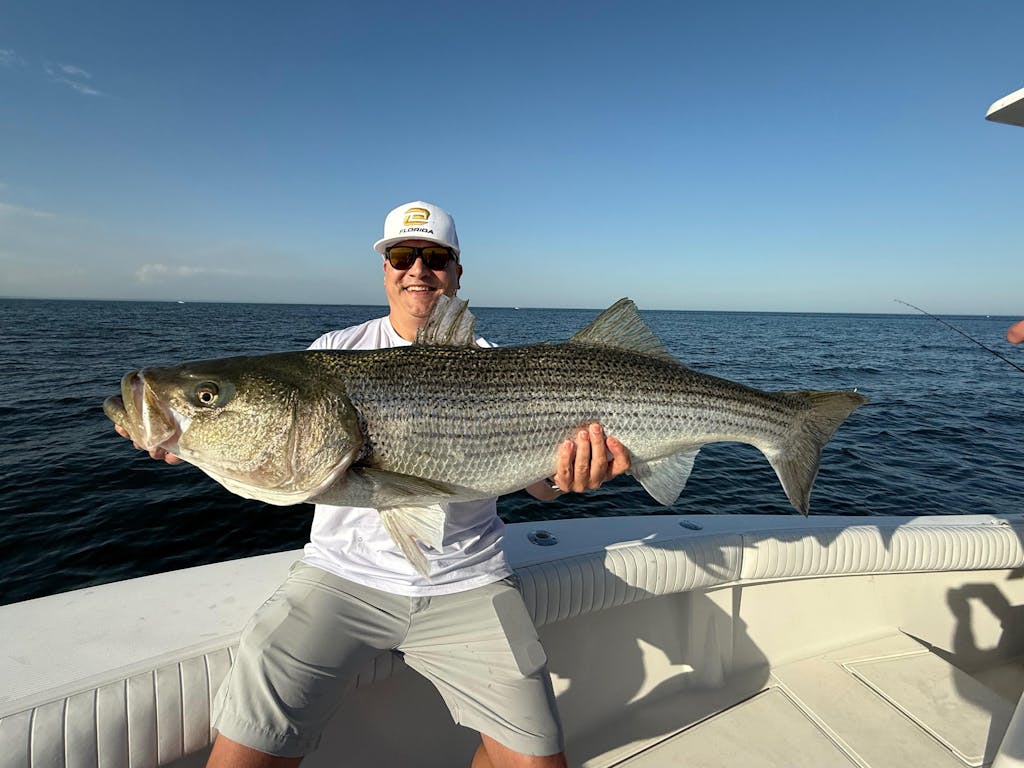 Jigging World "The Bone" Rattle Stick Baits