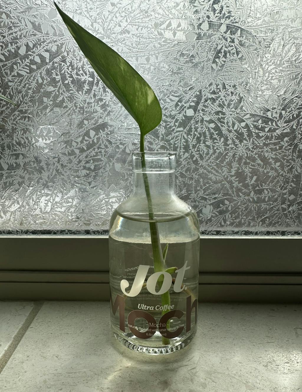 Jot Ultra Coffee Concentrate – Jot