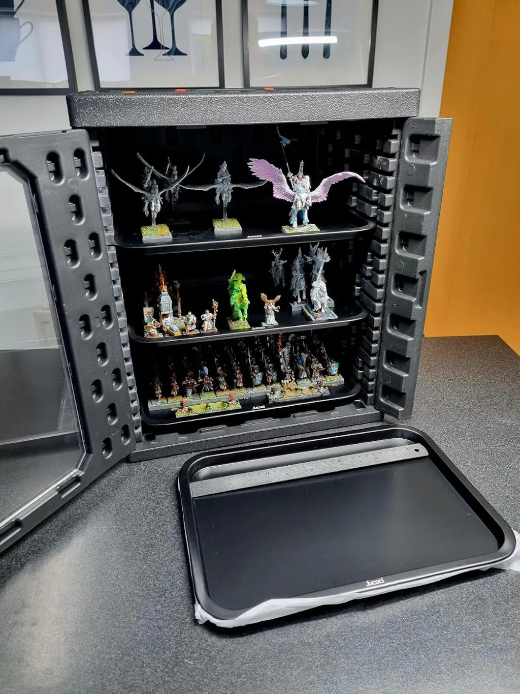 Jucoci Larger Size Miniatures Transport Storage Case