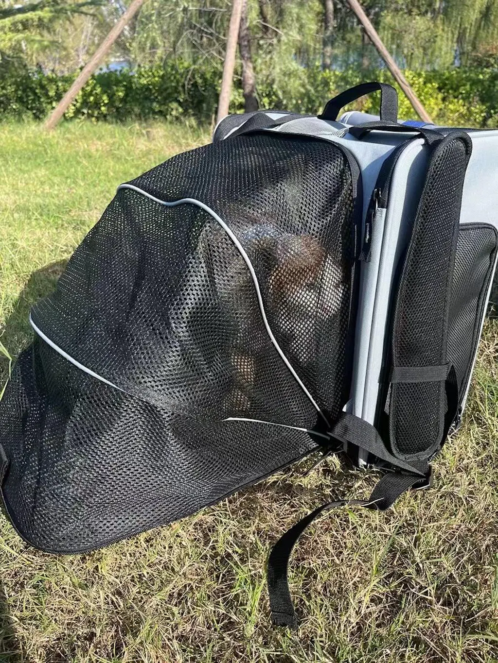Expandable Pet Carrier Backpack & Pet Tent 2-in-one - Julibees – Julibee's
