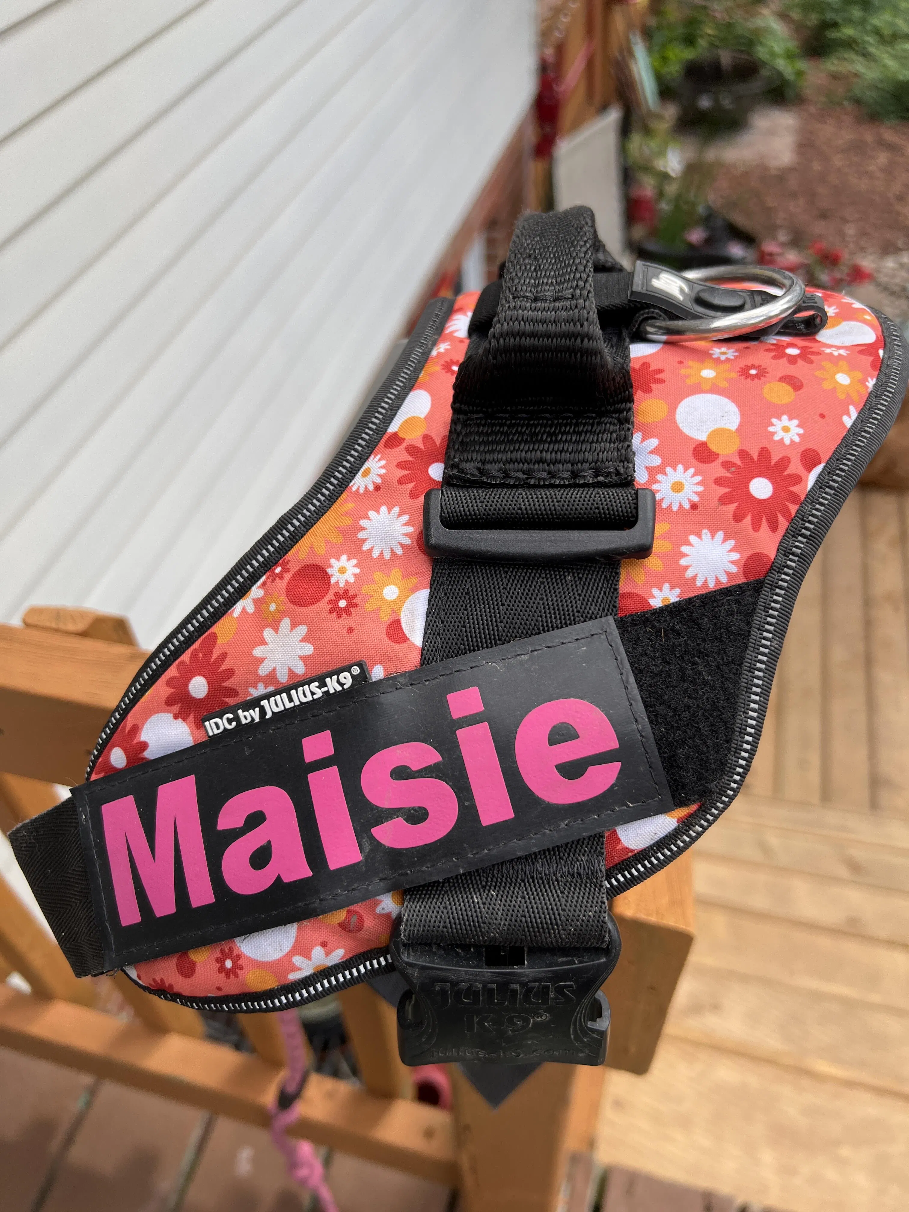 Custom Labels and patches for your Dog Harness -Julius K9 | JULIUSK9 ...