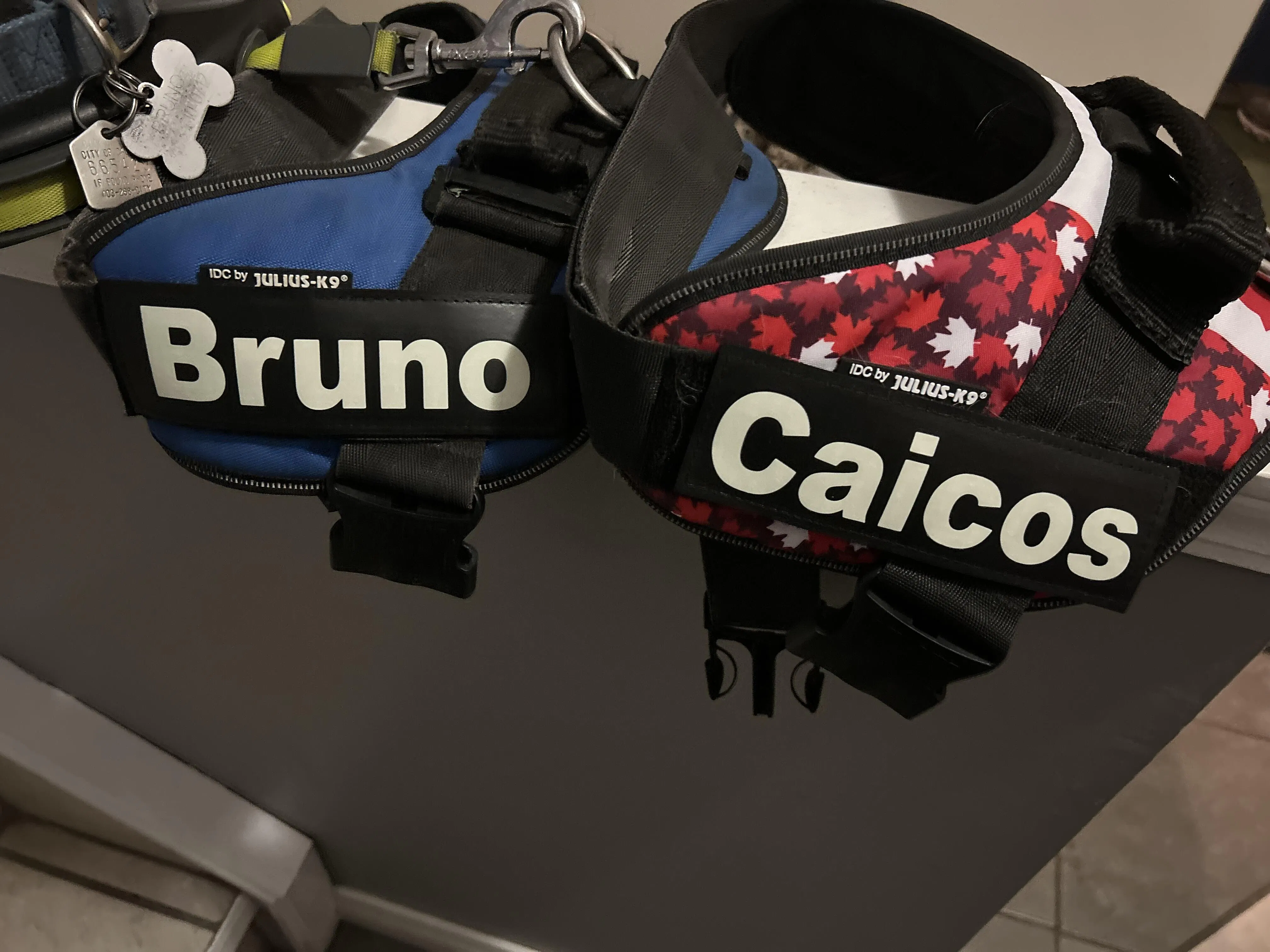 Custom Labels and patches for your Dog Harness -Julius K9 | JULIUSK9 ...