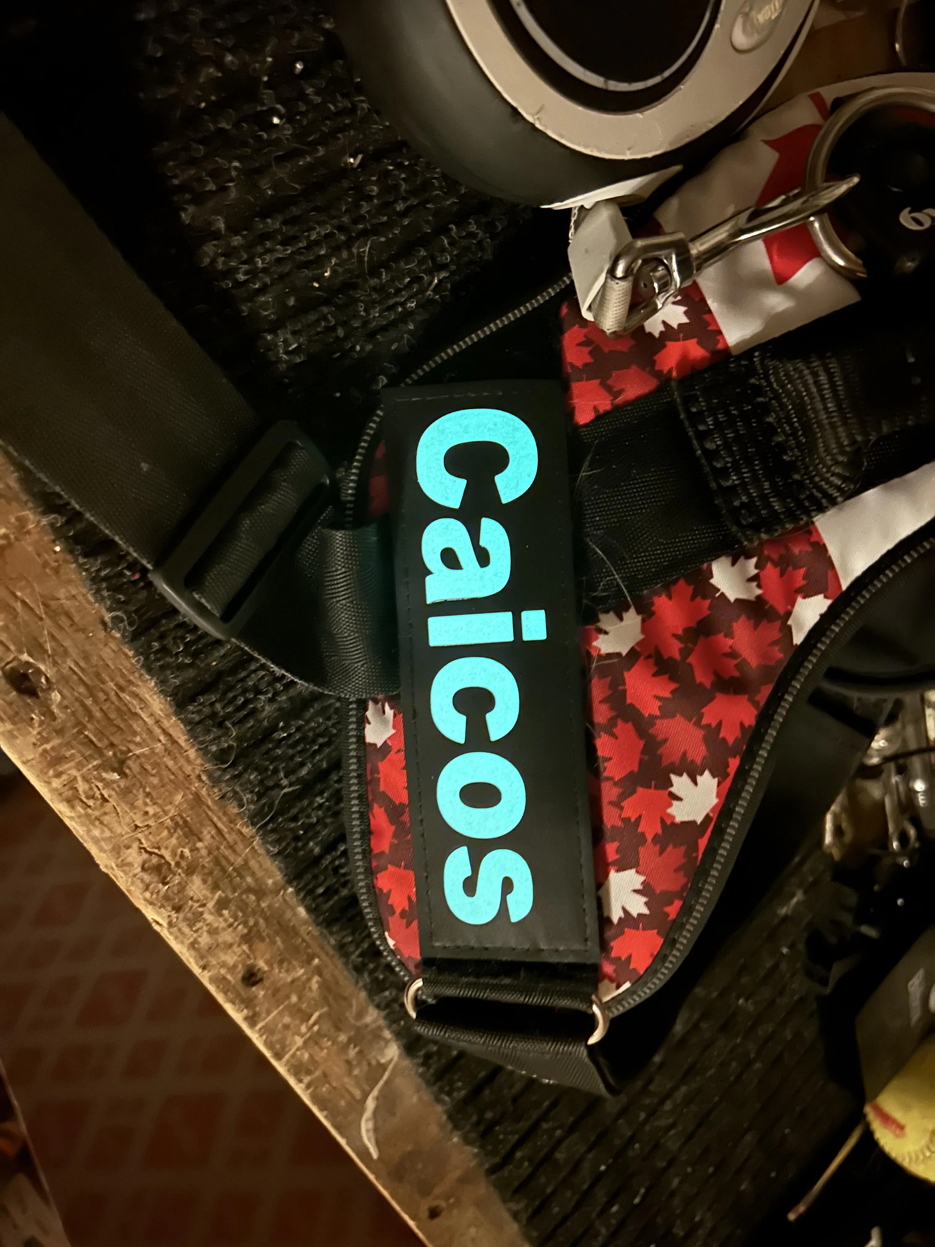 Custom Labels and patches for your Dog Harness -Julius K9 | JULIUSK9 ...