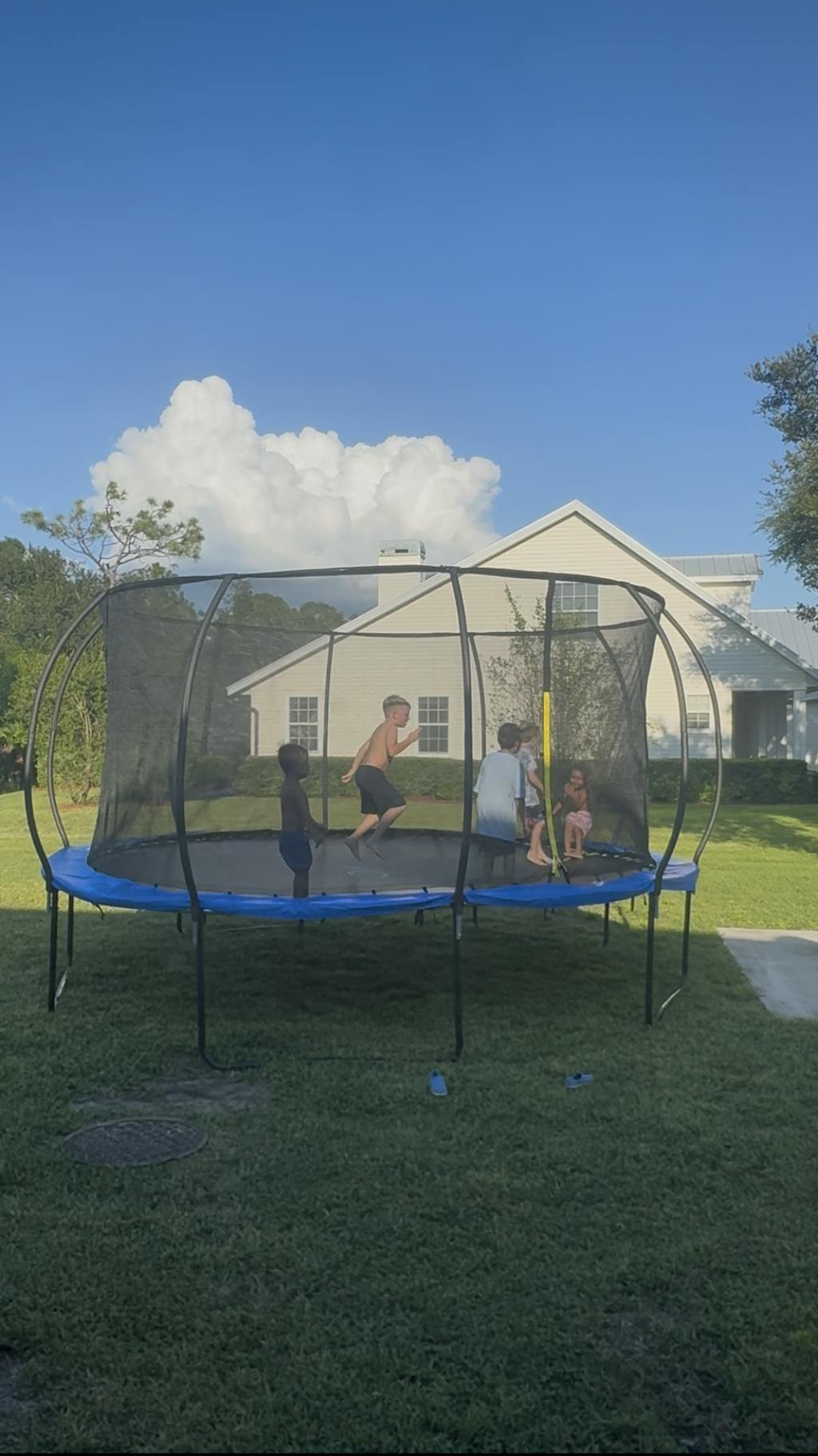 Jumpzylla 16FT Trampoline with Enclosure & Double Color Pad Cover ...