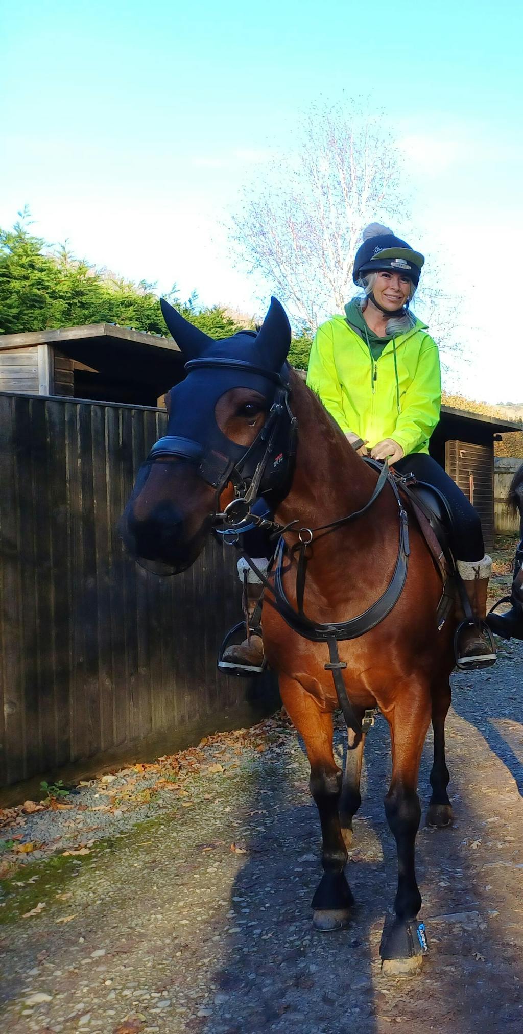 Titanium Calming Mask With Ears UK | Just Equine