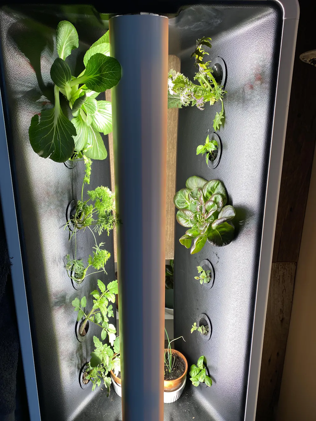 The EVE Tower Garden | Just Vertical