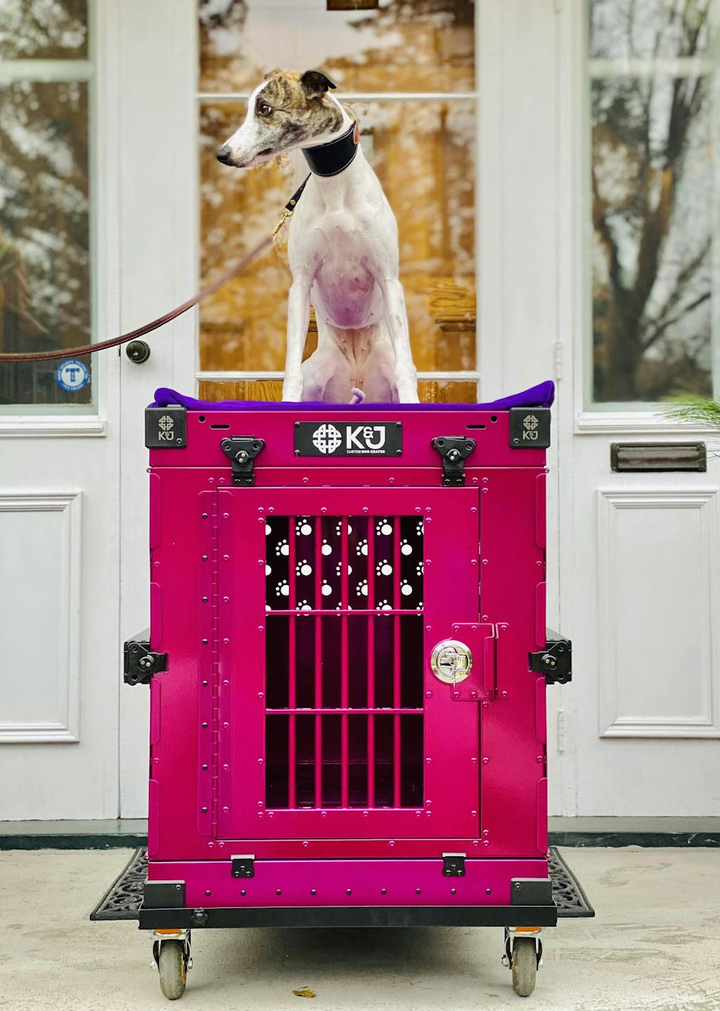 Custom Metallic Colours - K&J Custom Dog Crates