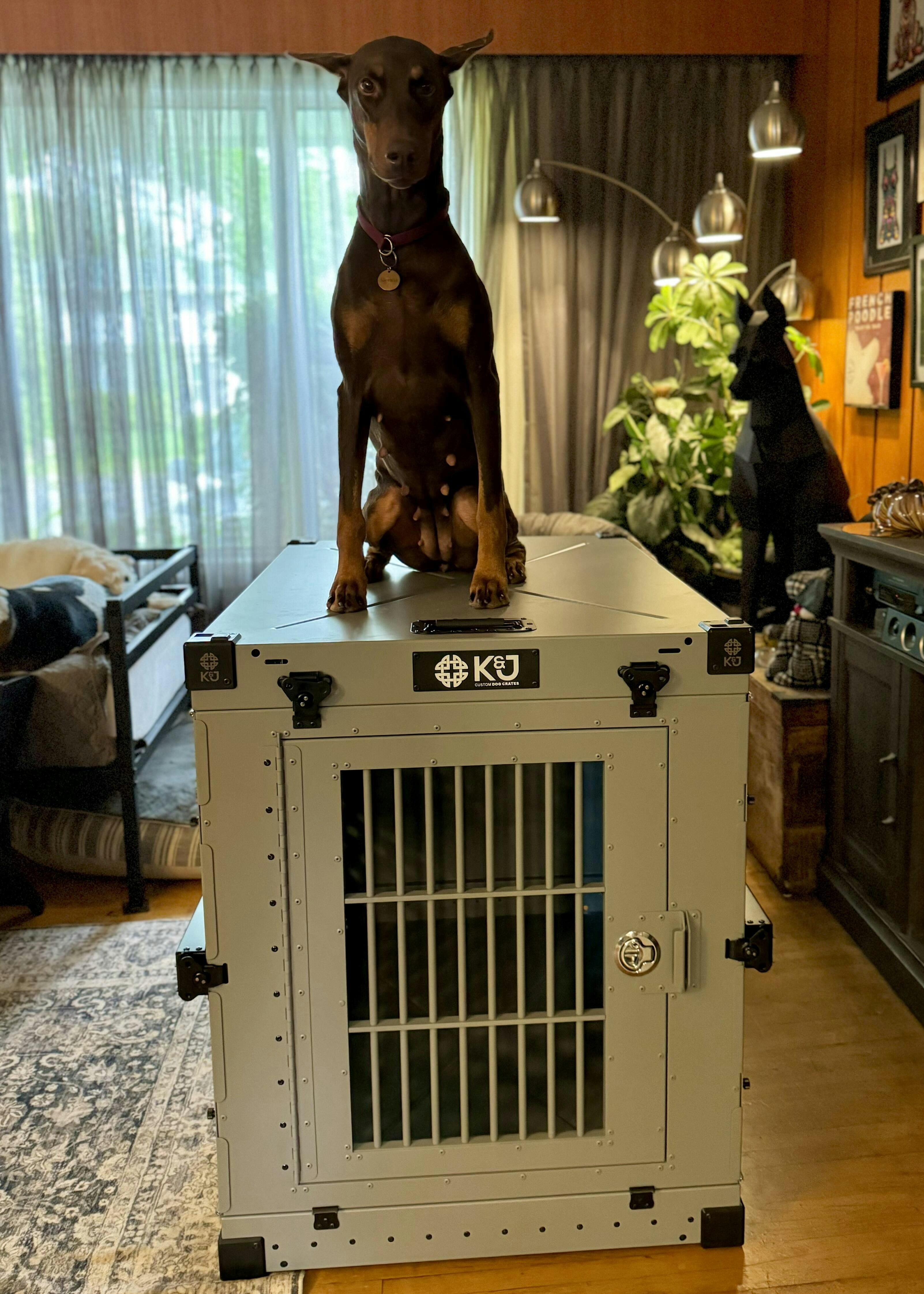 Escape-Proof and Durable Crates for Your Pup |K&J Custom Dog Crates