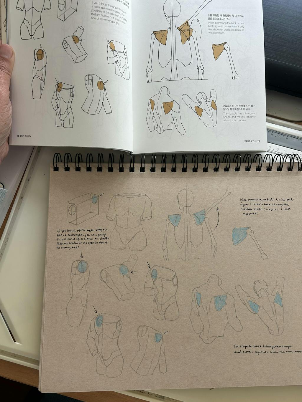 Easy Character Drawing Guide | Point Character Drawing | K-ZONE STUDIO