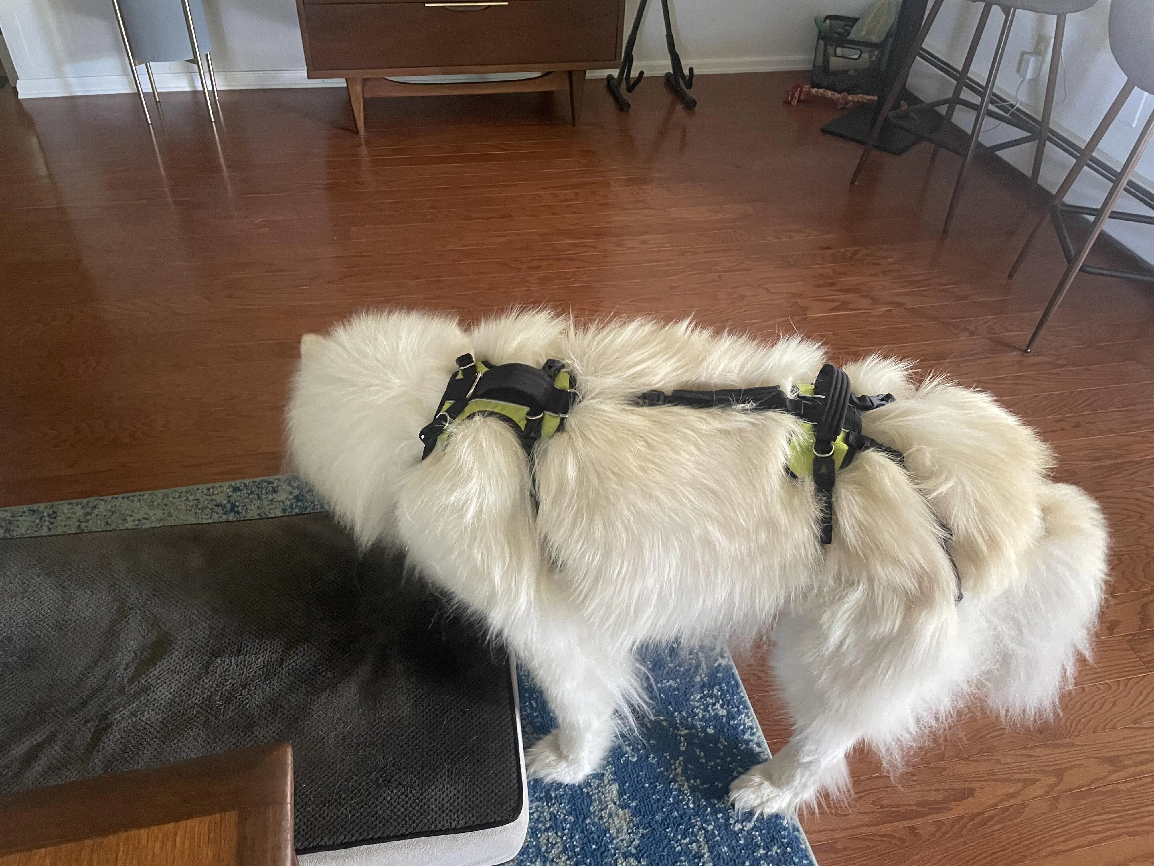 Help Em Up Harness - For Dogs - K9 Carts