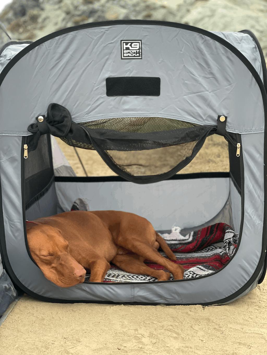 K9 Kennel Pop Up Dog Tent {Large & Small Sizes} – K9 Sport Sack