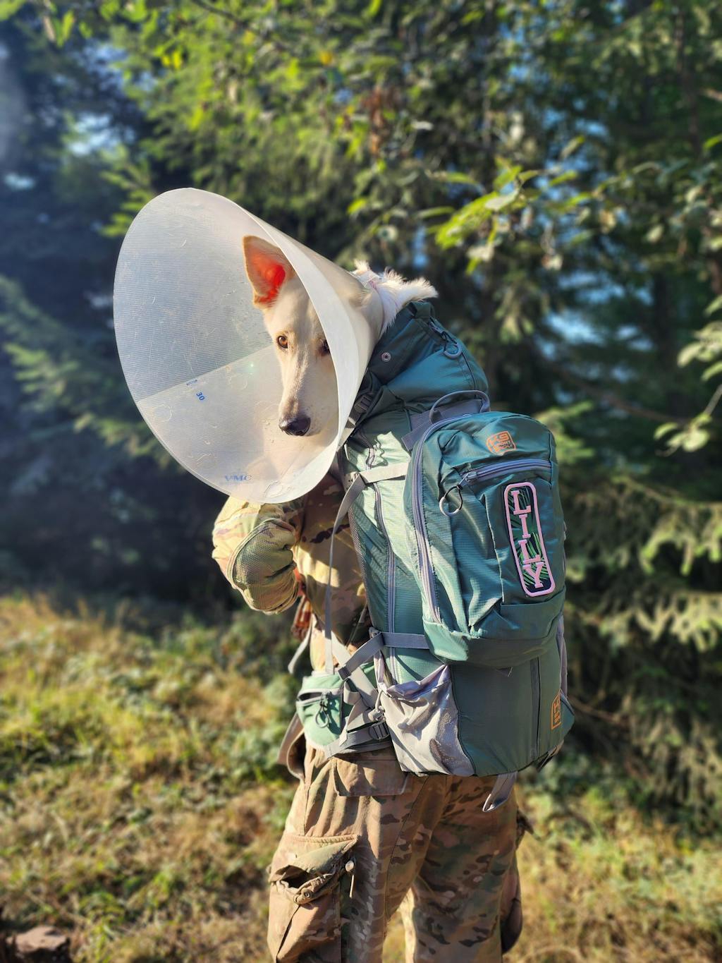 Large Dog Carrier Backpack (Big & XL Dogs) | Kolossus – K9 Sport Sack