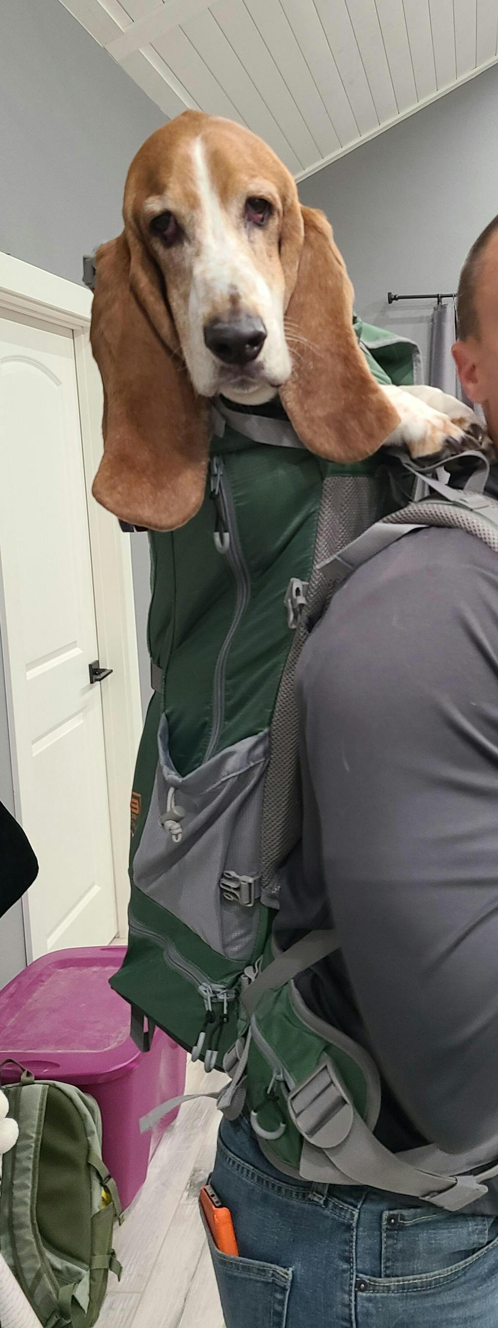 Large Dog Carrier Backpack (Big & XL Dogs) | Kolossus – K9 Sport Sack