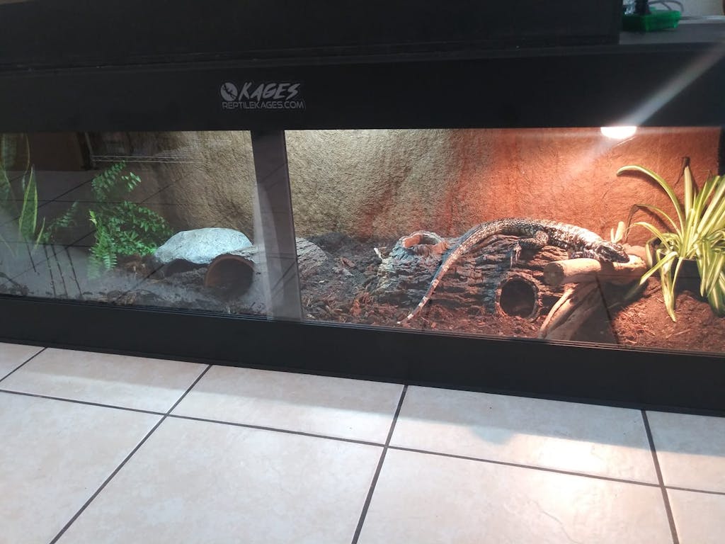 6'x2'x2' PVC Reptile Cages | Custom Reptile Kages Enclosures