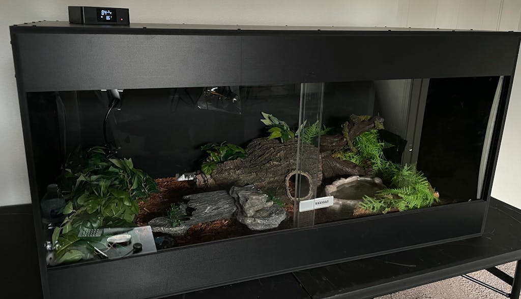 Premium PVC Reptile Enclosure | 4'x2'x2' ft | Kages