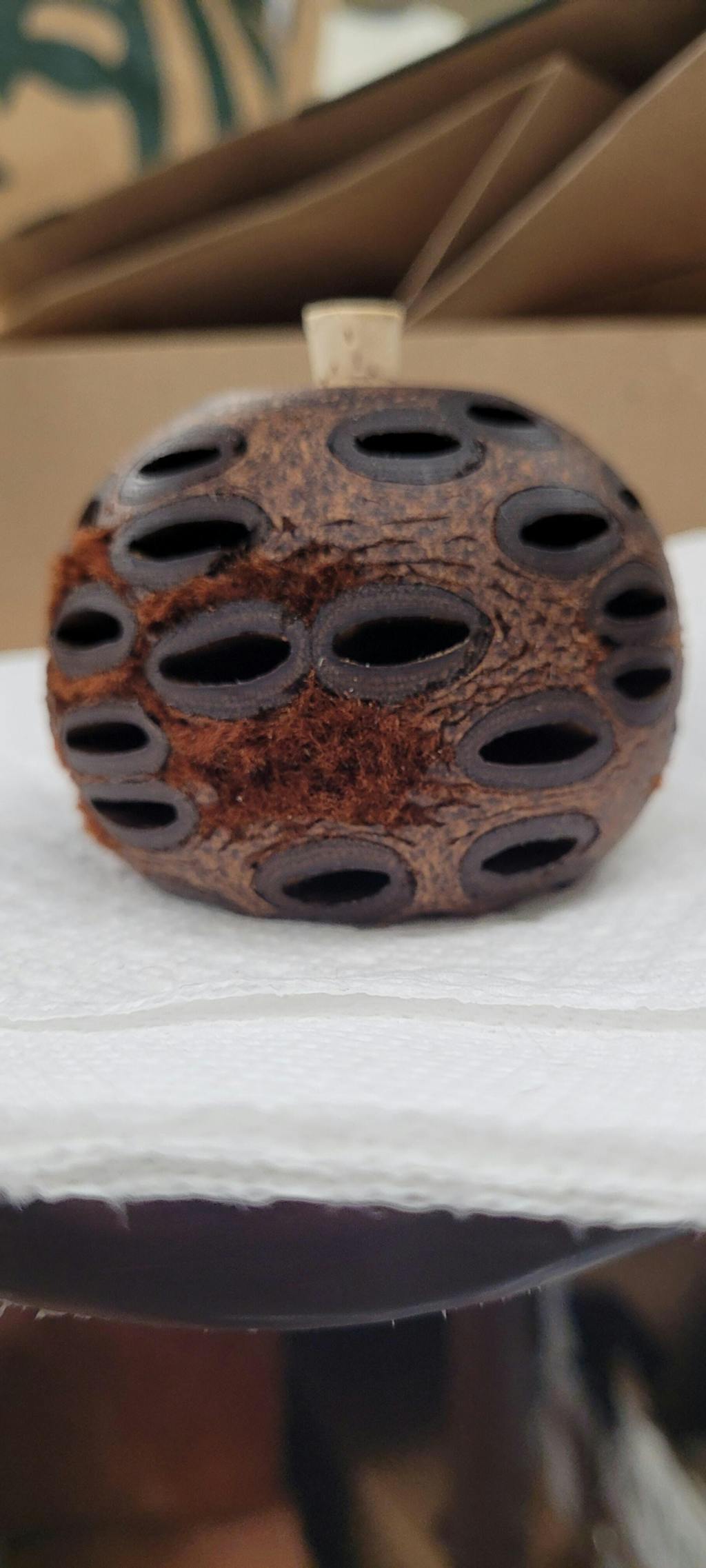 Banksia Aroma Pod Gift Pack – Kakadu Plum Co