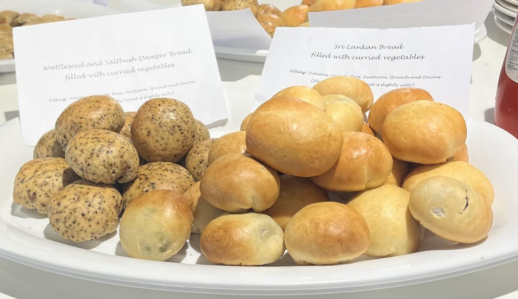 Saltbush – Kakadu Plum Co