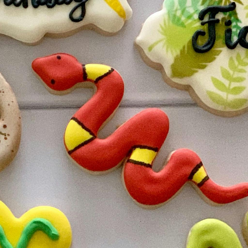 Snake Cookie Cutter KaleidaCuts snake-cookie-cutter-kaleidacuts