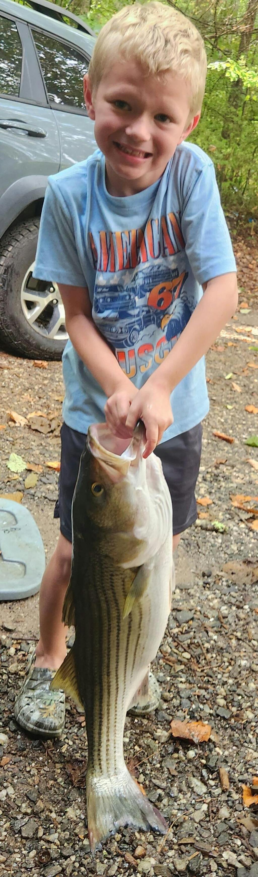 KastKing Megatron 200 Baitcasting Reel