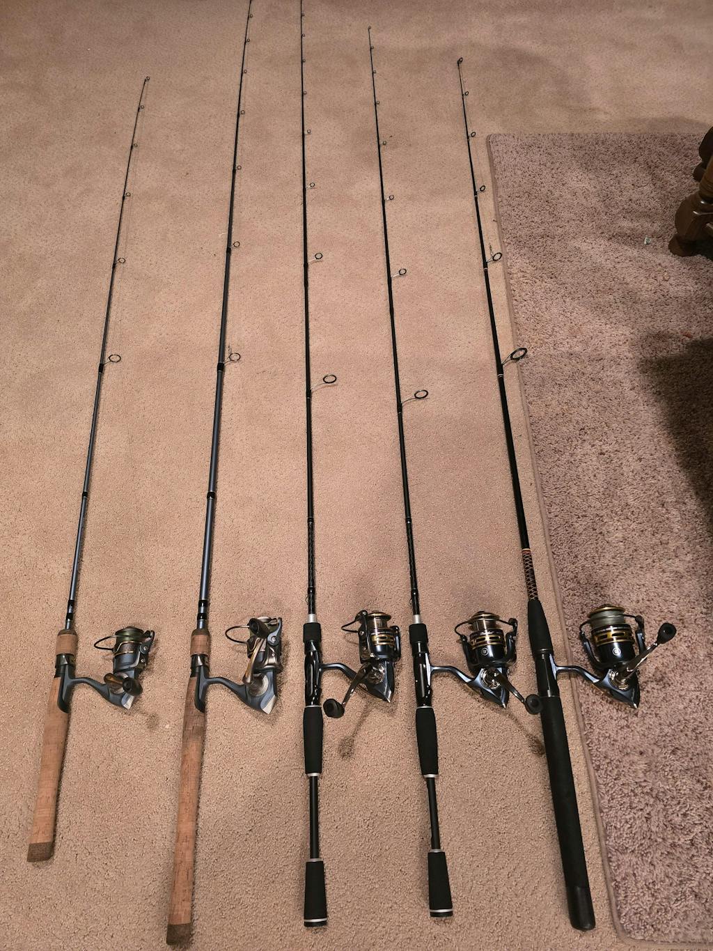 KastKing Perigee II Fishing Rods