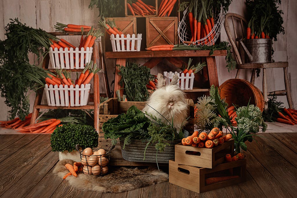 Rustic Farmhouse Carrot Harvest Backdrop