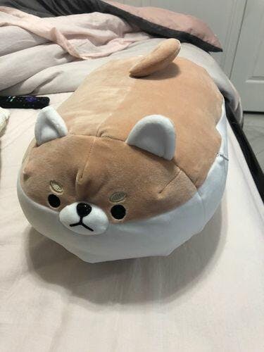 The Angry Shiba Trio Plushies Kawaiies