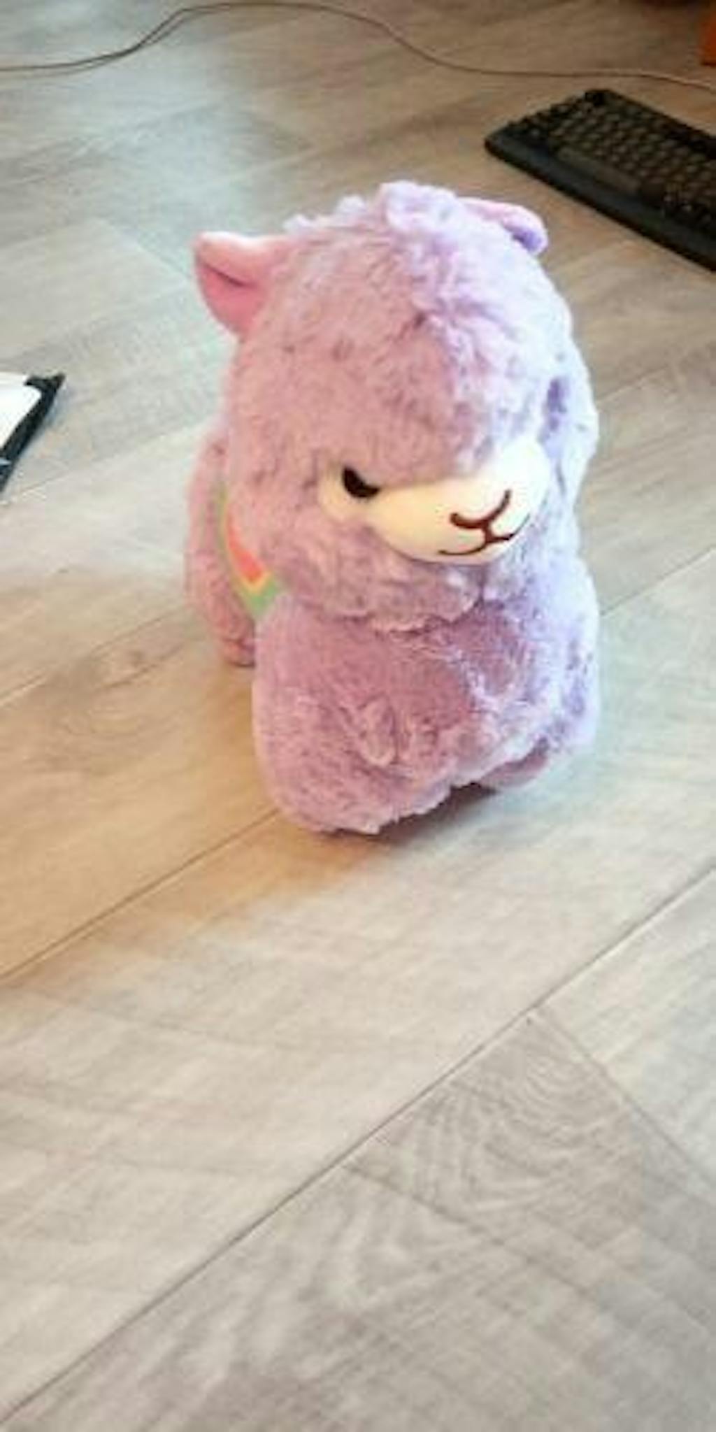 Kawaii Pink Purple White Fluffy Alpaca Plushie Collection – Kawaiies