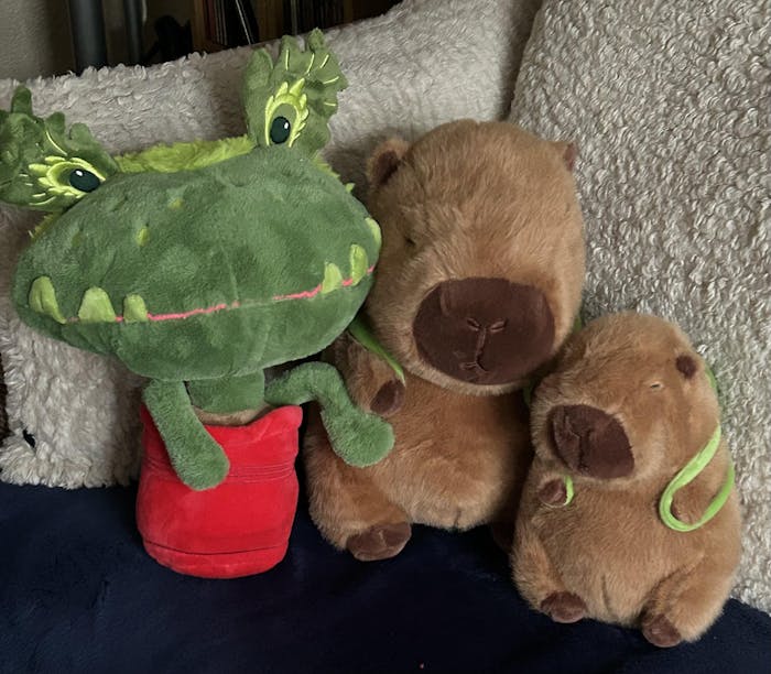 The Adorable Capybara Turtle Back Pack Plushies – Kawaiies