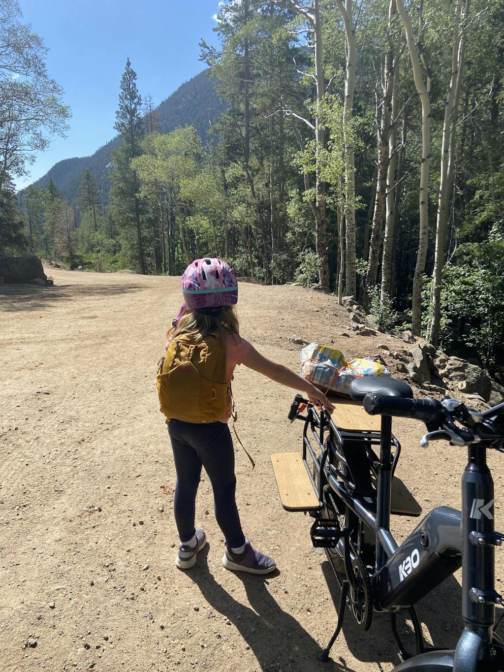 Electric Cargo Bike | KBO Ranger | KBO Bike