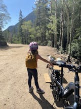 Electric Cargo Bike | KBO Ranger | KBO Bike