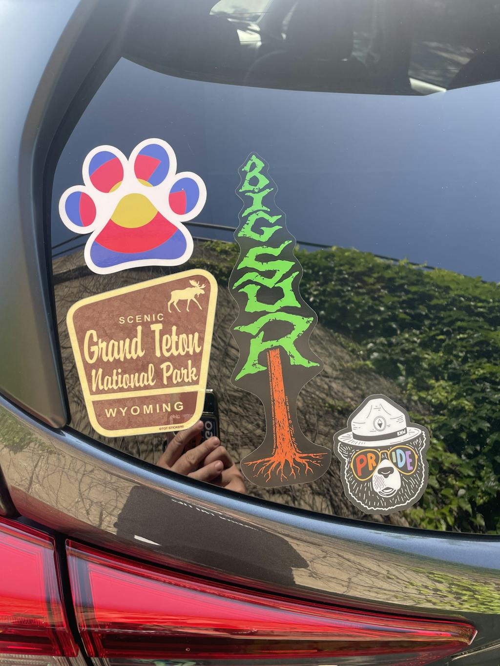 More Trees Please Outdoor Sticker | Keep Nature Wild