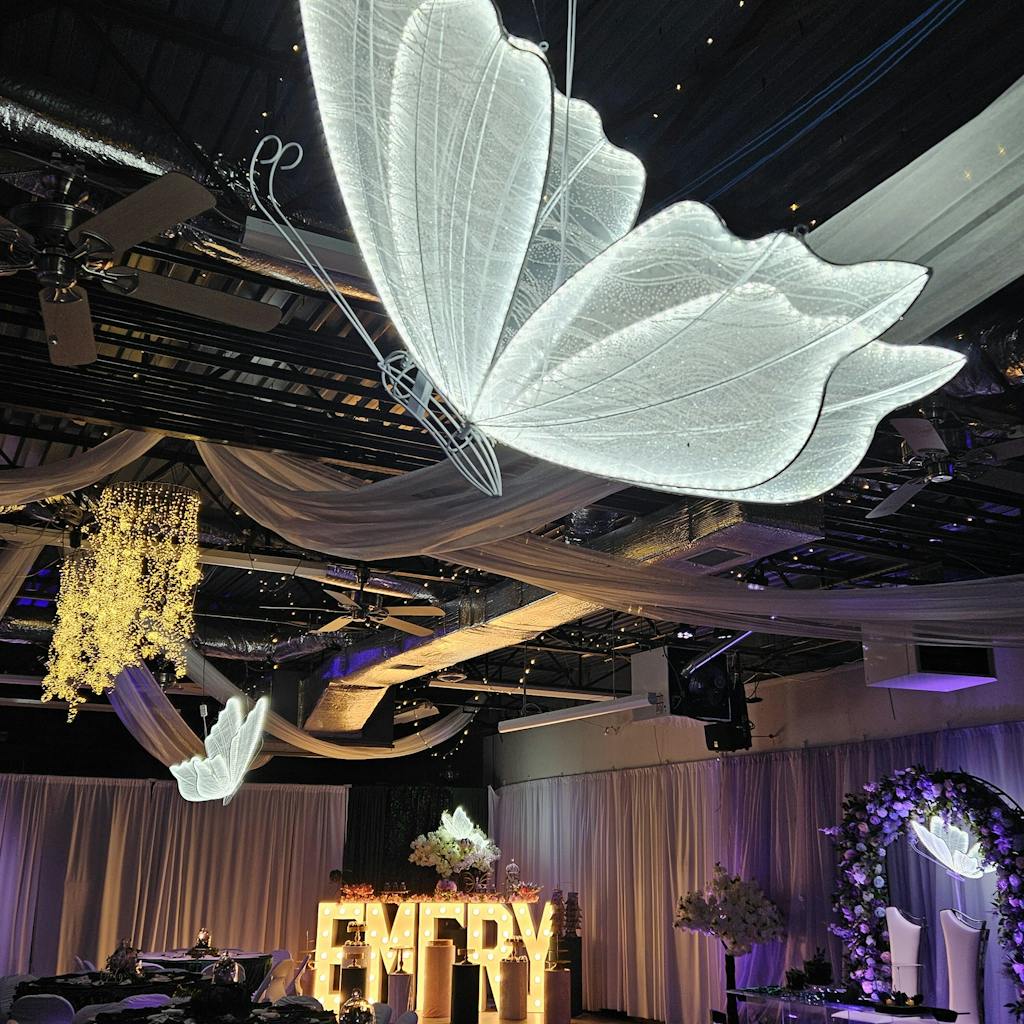 KetieStory Set of 2 LED Butterfly Light Party Lights for Event Wedding ...