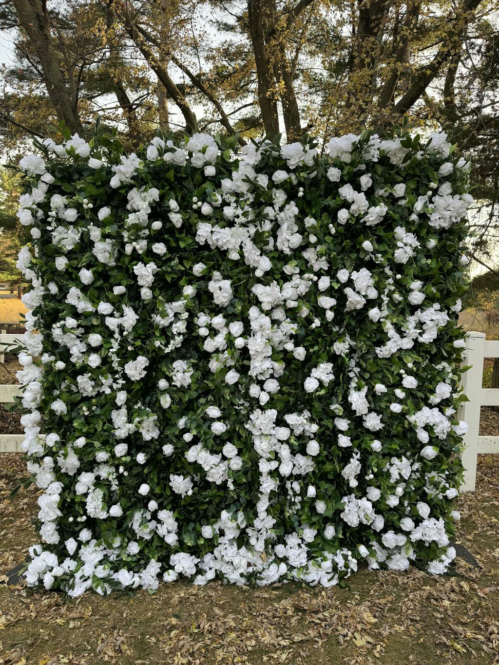 Adjustable Flower Wall Stand | Sturdy Frame for Wedding & Event ...