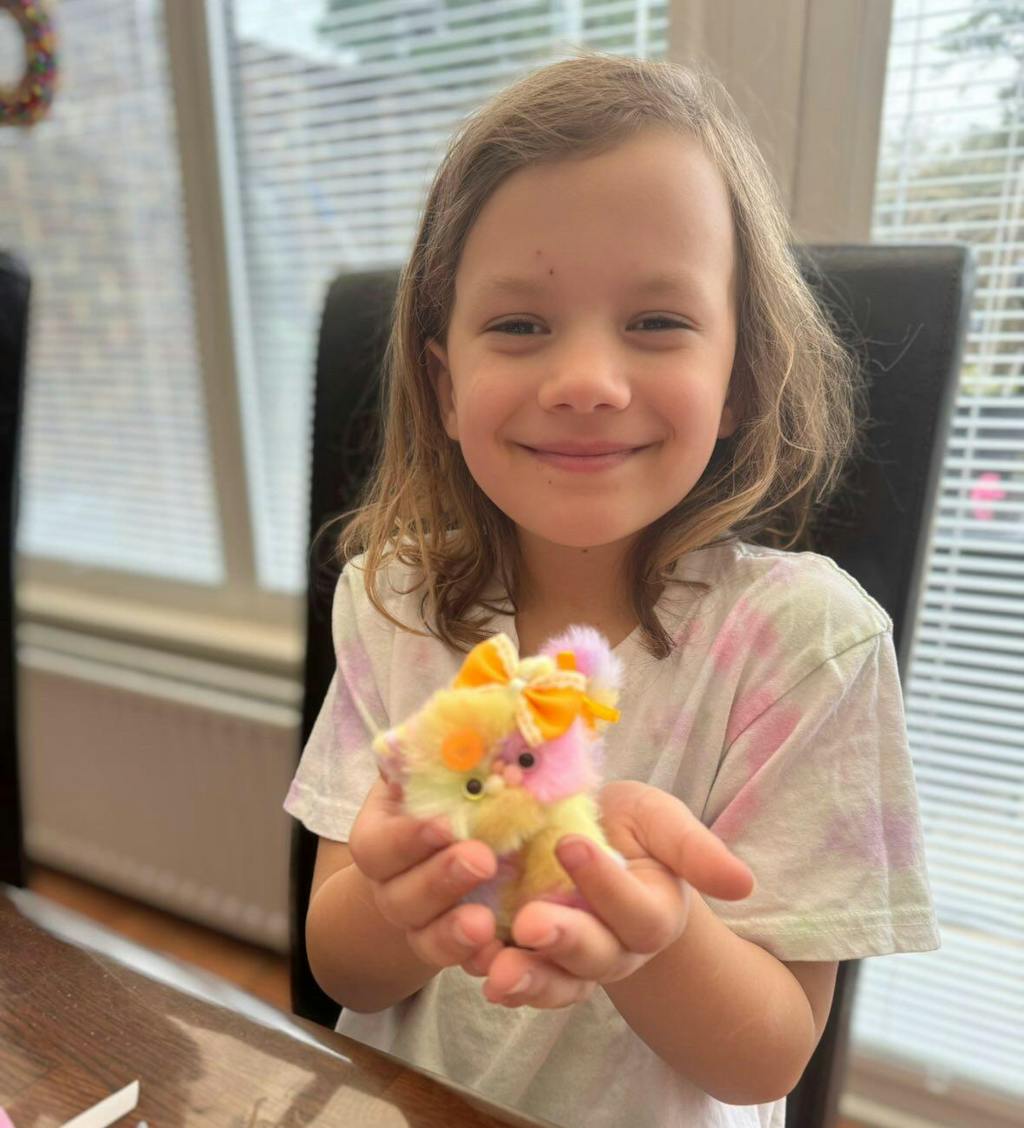 Adorable Handmade Mini Kittens – Calico, Ragdoll, Himalayan & More ...