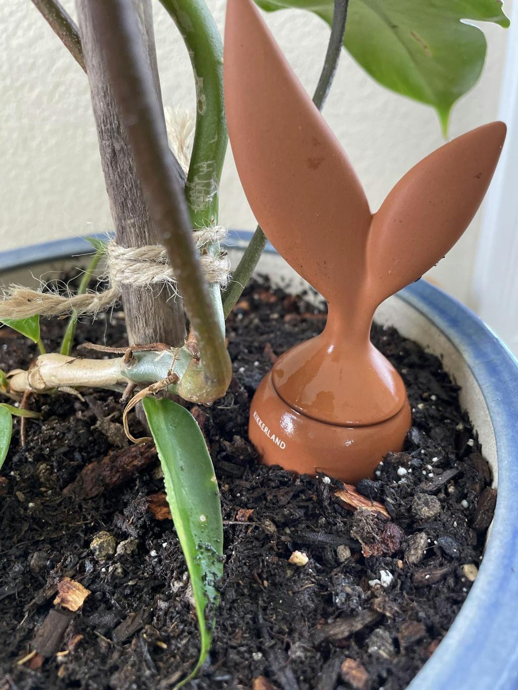 Terracotta Watering Stake – Kikkerland Design Inc