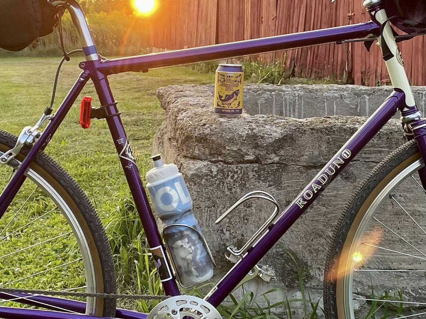 Iris Stainless Steel – King Cage