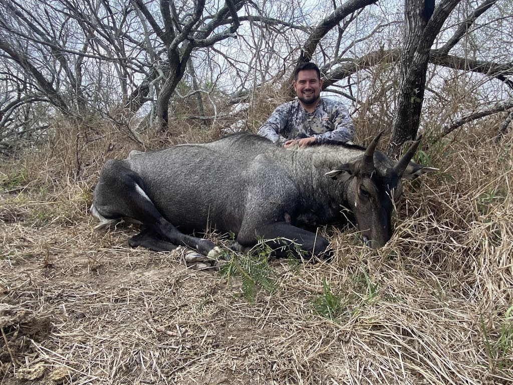 King Ranch Lucchese Snake Boot - Shop Men's Leather Cowboy Boots Here ...