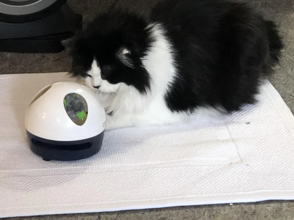 Hidey Mouse | Interactive Cat Toy | Kittio