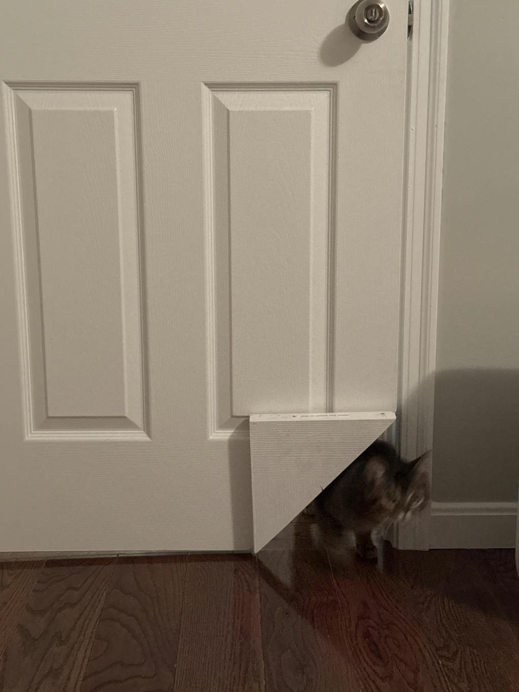 Kitty Korner® a New Kind of Cat Door – Kitty Korner Door