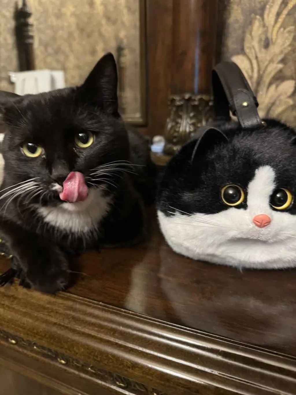 KittyPurse™ – Realistic Cat Bag & Convertible Handbag