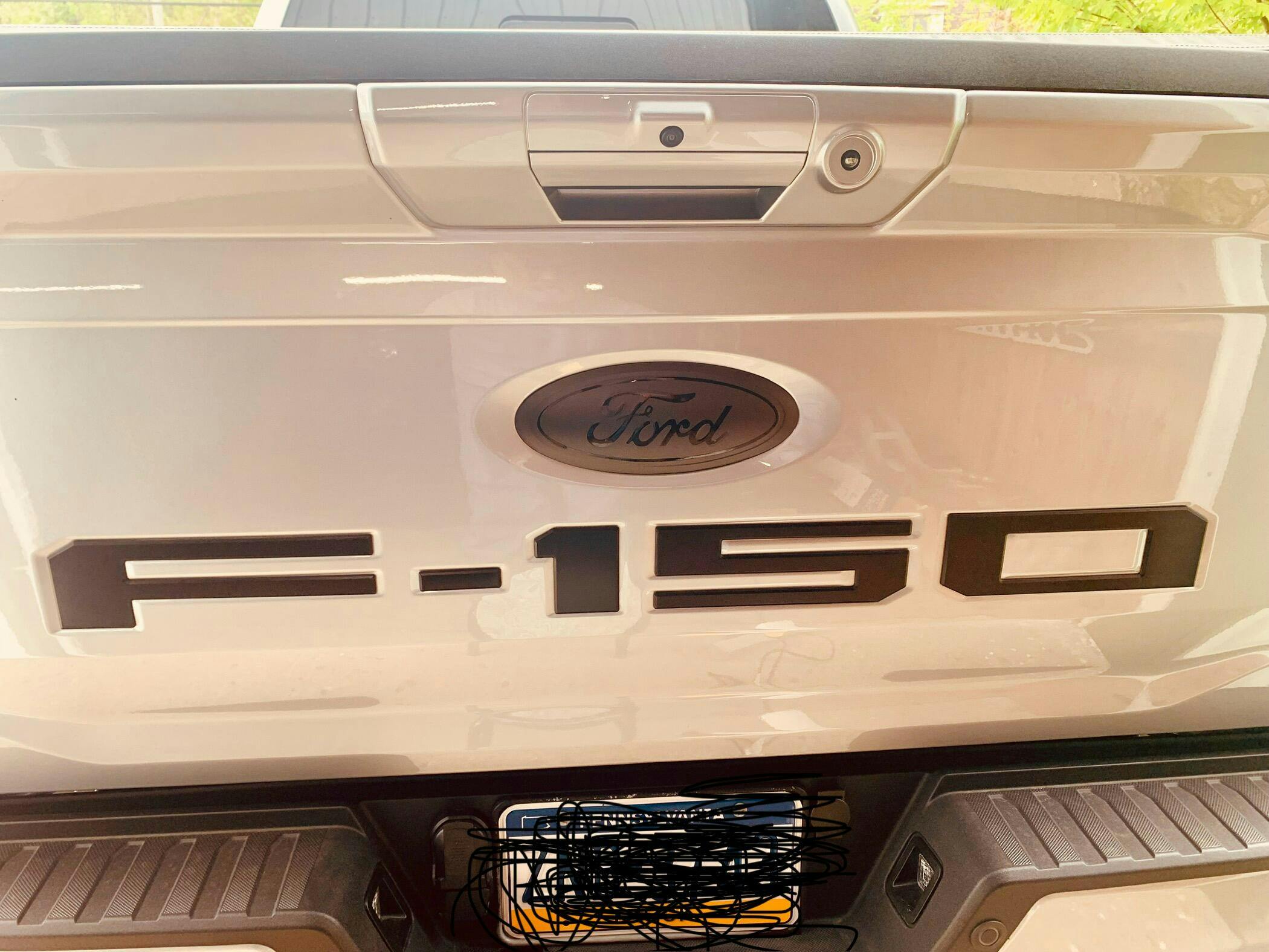 2015-2023 Ford F150 BLACKOUT Emblem Overlay DECALS Grille & Tailgate ...