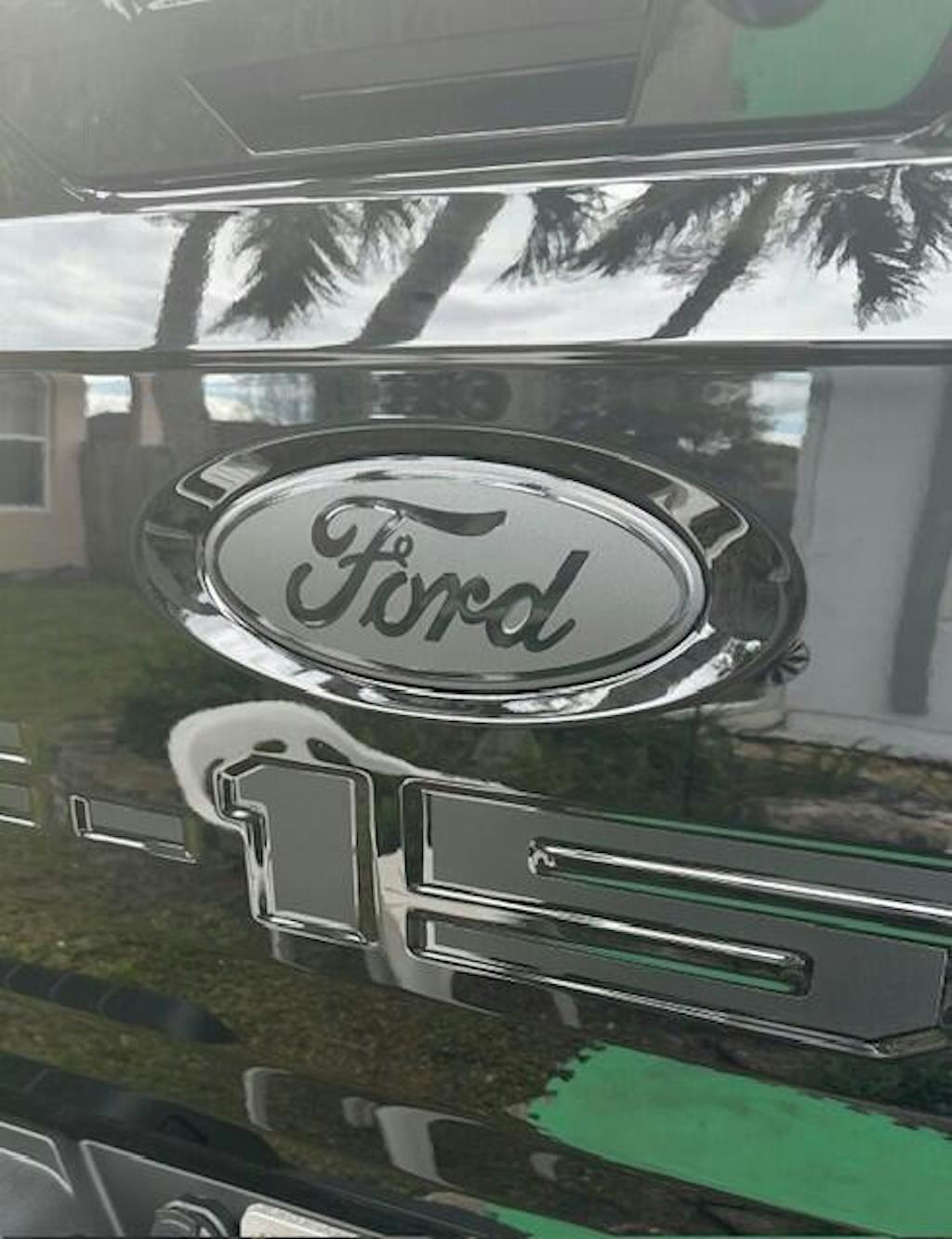 2024-2025 Ford F150 BLACKOUT Emblem Overlay DECALS Grille & Tailgate ...