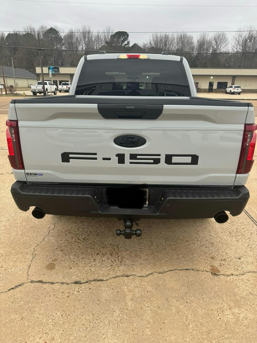 2024-2025 Ford F150 BLACKOUT Emblem Overlay DECALS Grille & Tailgate ...