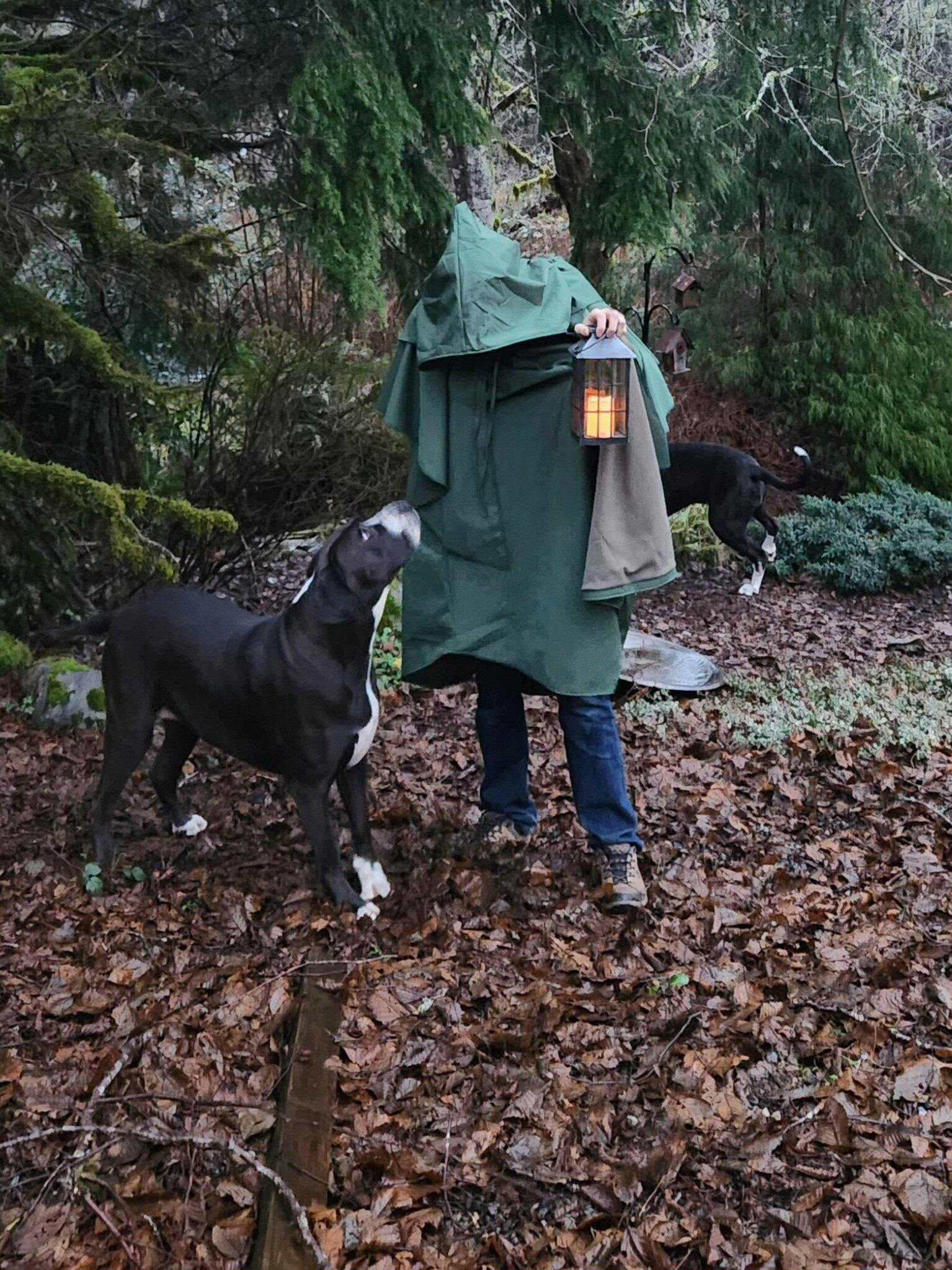 Knightweave Waterproof Scout Cloak | Hooded Outdoor Adventure Cape