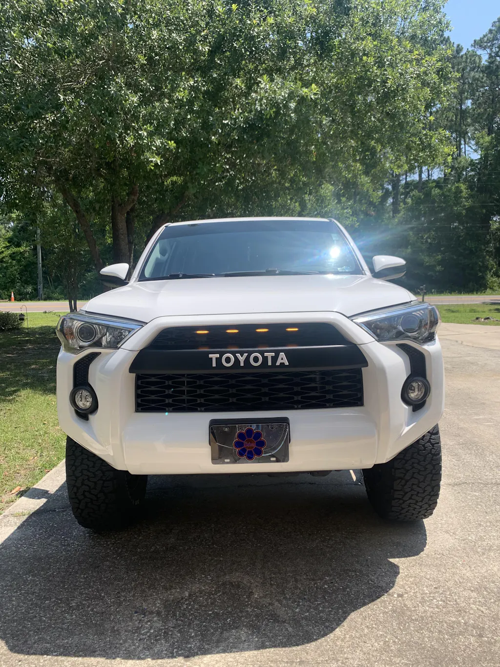2014-2019 4Runner Trd Pro Grille