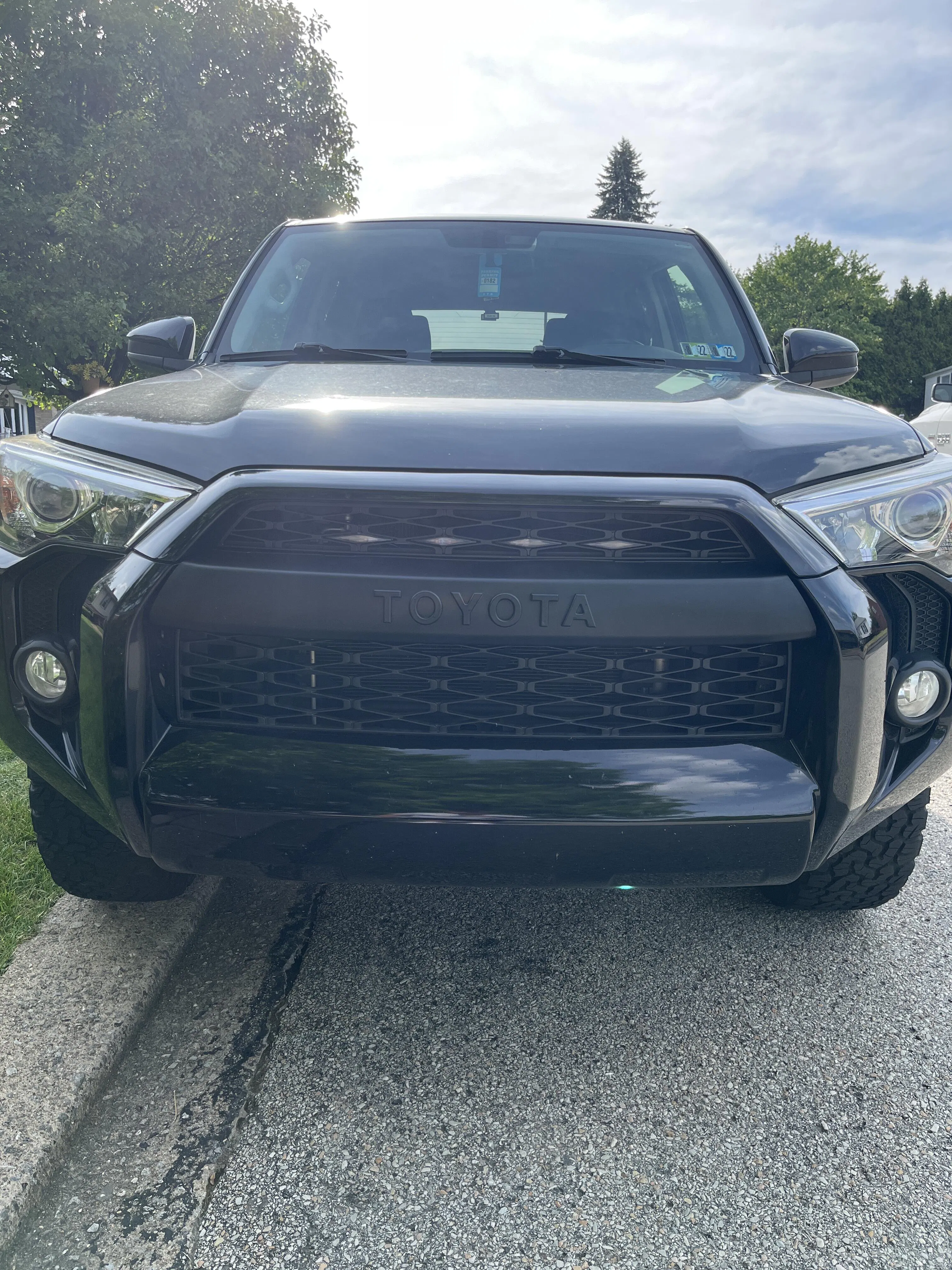 2014-2019 4Runner Trd Pro Grille