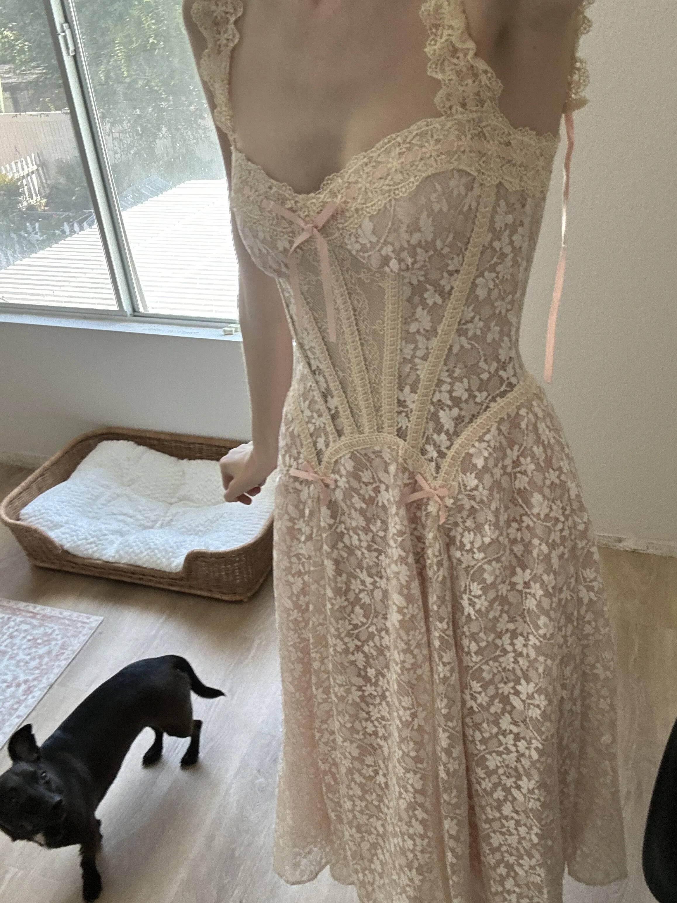 The Glass Candy Corset Dress
