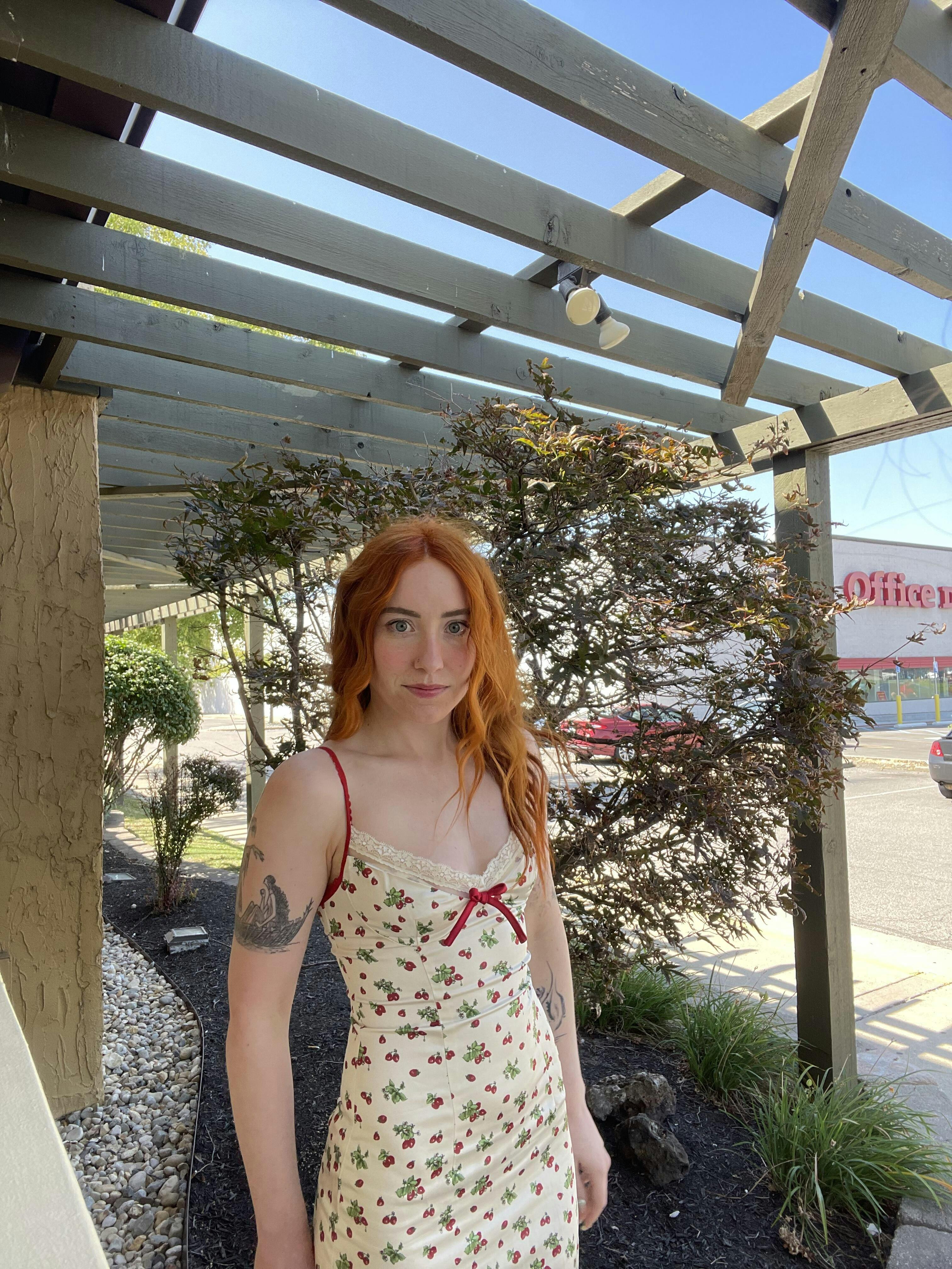 Strawberry Farm Dress