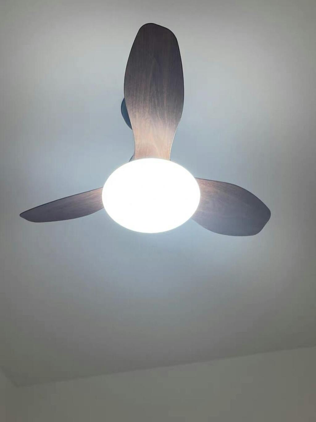 Lampsmodern Nordic Bedroom Ceiling Fans with Light Simple Ceiling Fans ...